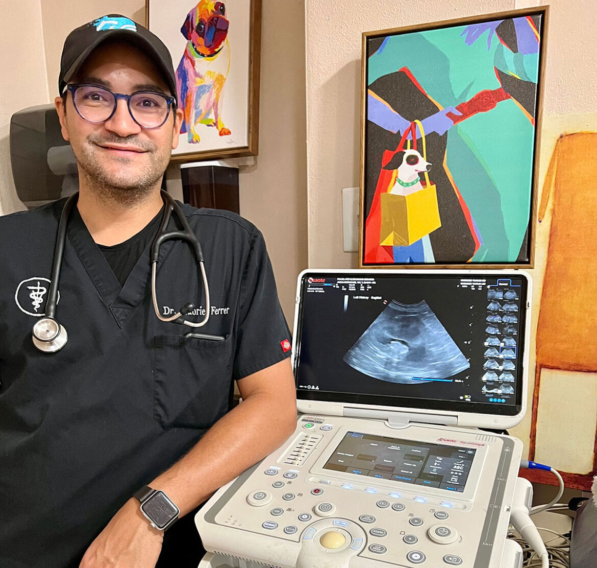 Home - Pulse - Pet Ultrasound Services